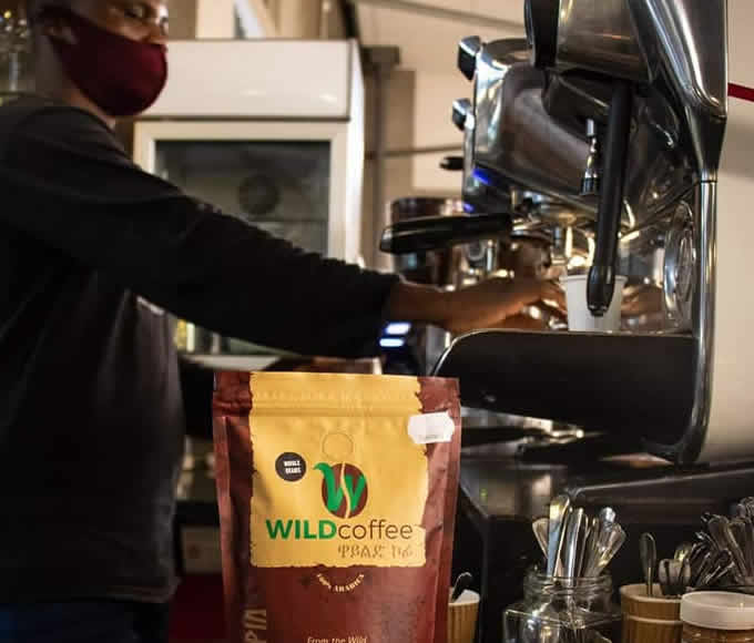 Ethiopian Wild Coffee | Wild Cafe – My Bunna LLC